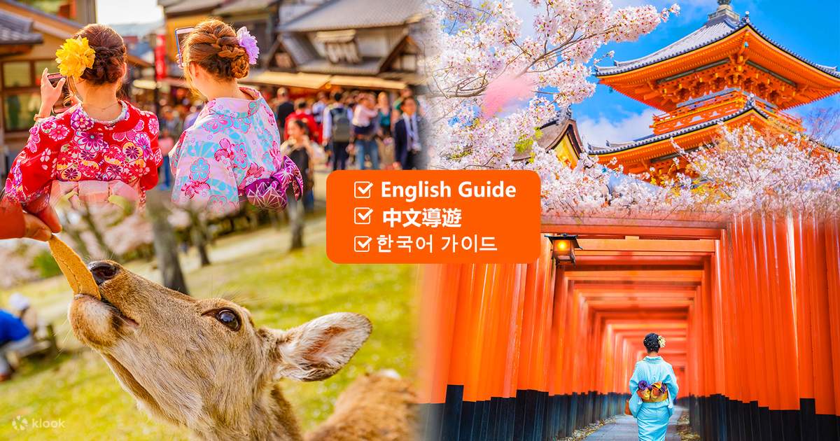 Kyoto Nara Day Trip │ Kiyomizu Temple + Fushimi Inari Taisha Shrine + Nara Park (from Osaka ...